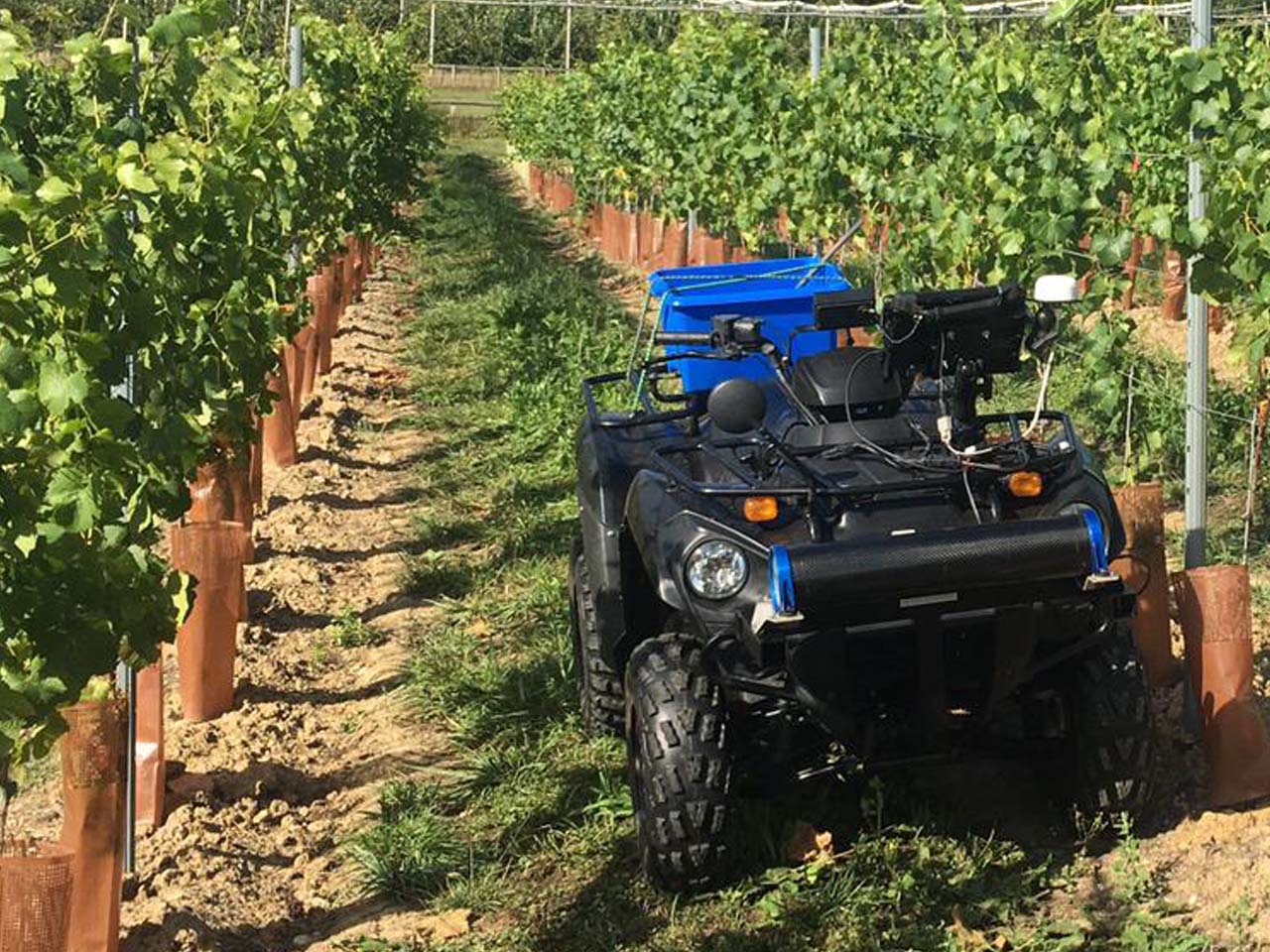 Frequently Asked Questions on SoilOptix®