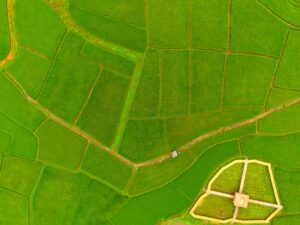 GIS Field mapping for agriculture: One of the biggest boons of ...