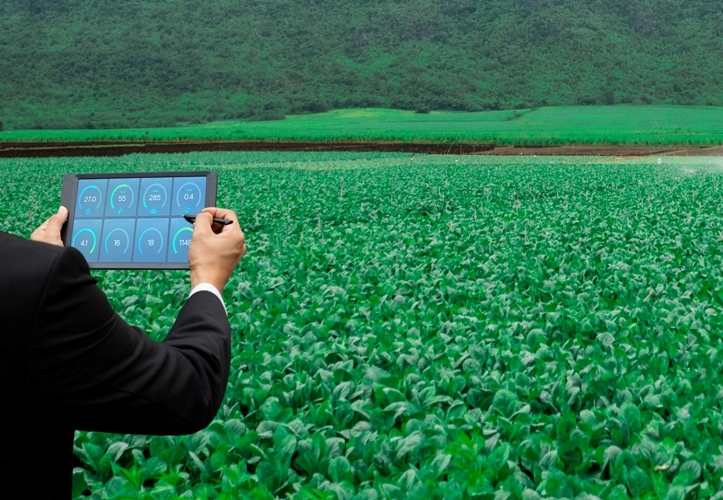 The diverse precision agriculture technology options that benefit farmers