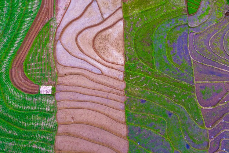 How Can Digital Soil Mapping in the USA Be Rewarding for Framers?