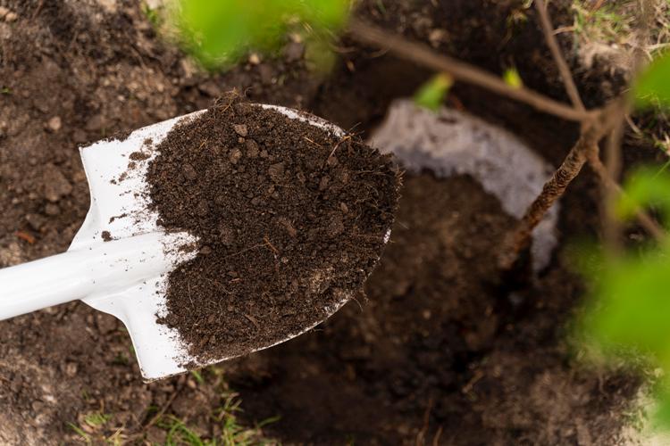 The Top 5 Threats to Soil Health in the USA – Details to Know