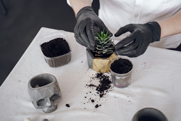 Soil Carbon Sequestration: A Pathway to Sustainable Agriculture and ... Soil Carbon Sequestration: A Pathway to Sustainable Agriculture and ...